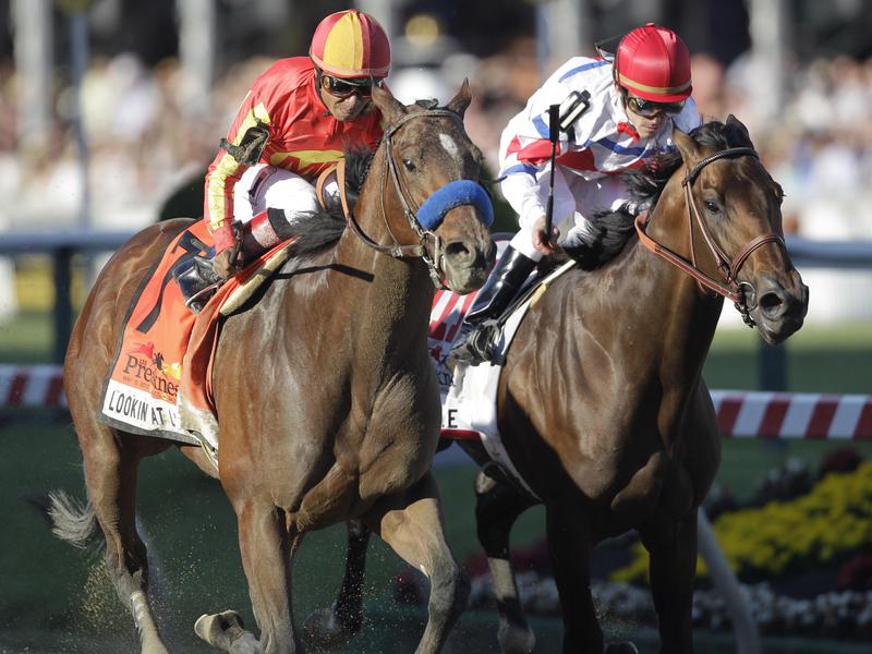 National Hunt Races, Classes and Biggest Events - thelacesociety.org.uk